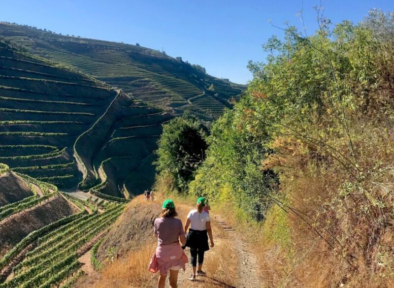 Douro - walking with full fancy lunch and premium wines - Key Points