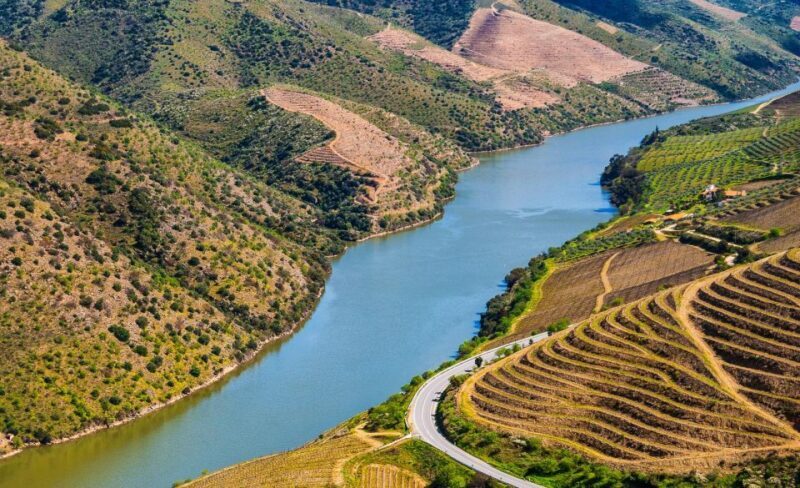 Douro: Wine Tasting and river cruise Experience - Introduction: A Taste of Douro’s Charm