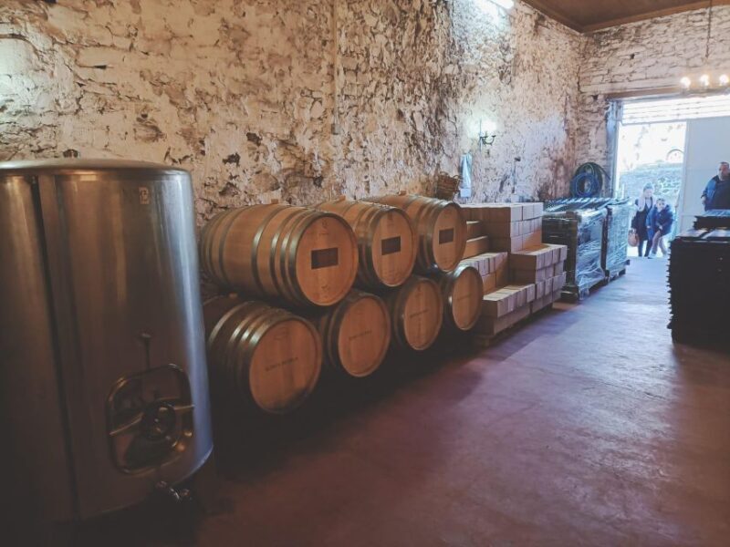 Douro: Wine Tasting and river cruise Experience - Pricing and Value