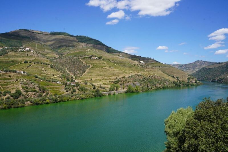 Douro: Wine Tasting and river cruise Experience - Who Is This Tour Best For?