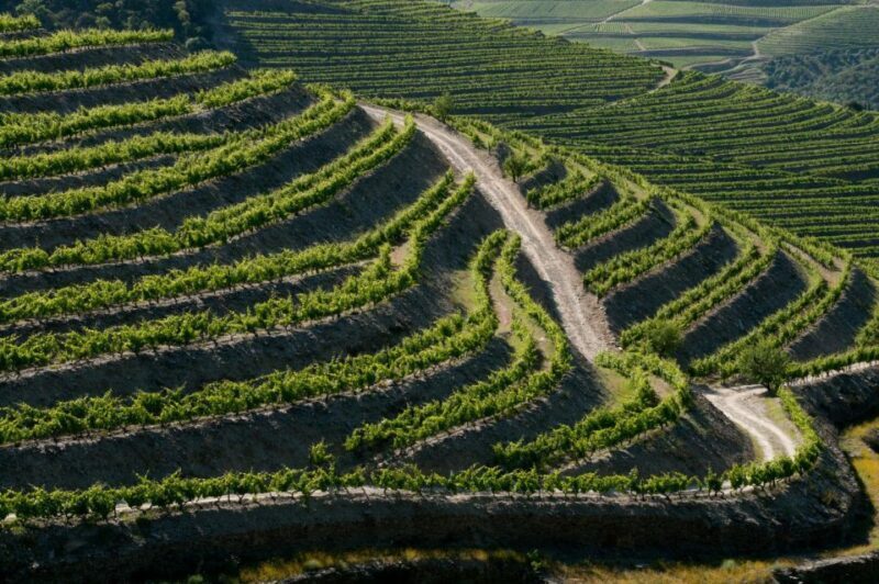 Douro: Wine Tasting and river cruise Experience - FAQ