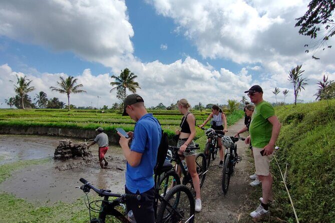Down Hill Cycling in Bali Country Side with Local - An Introduction to Bali’s Countryside Cycling Tour