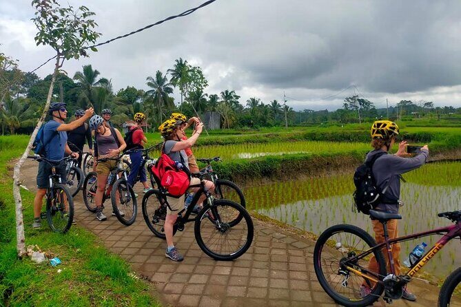 Down Hill Cycling in Bali Country Side with Local - Visiting a Balinese House: Cultural Insights and Warm Hospitality