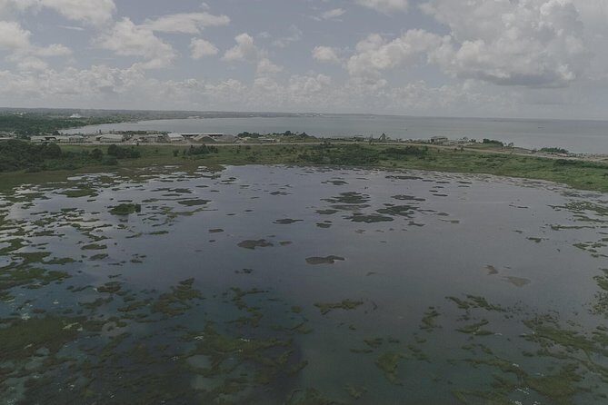 Down South Tour of Trinidad - Exploring the Itinerary in Detail