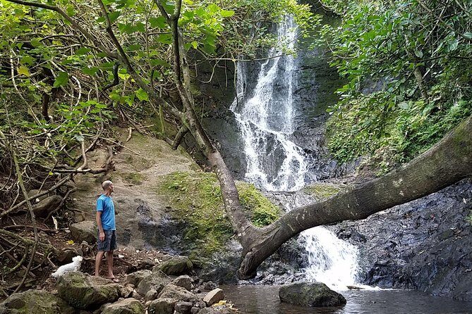 Downhill Bike and Ko'olau Waterfall Hike Tour - Authentic Experiences Drawn from Reviews
