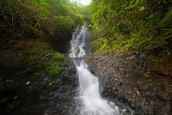Downhill Bike and Ko'olau Waterfall Hike Tour - Who Will Love This Tour?