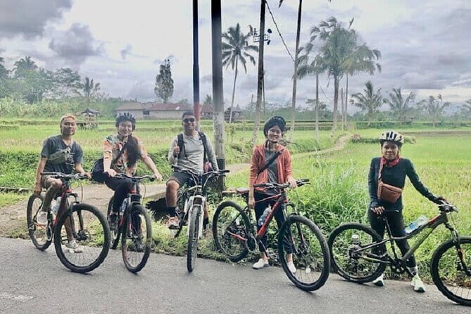 Downhill Cycling Tour through jungle and rice terrace meals - Key Points