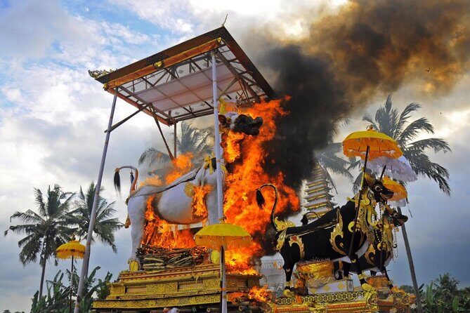 Downhill Cycling Ubud with Volcano,Rice Terraces,Jungle and Meals - Authentic Experiences and Reviews