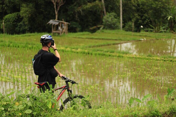 Downhill Cycling Ubud with Volcano,Rice Terraces,Jungle and Meals - Final Thoughts