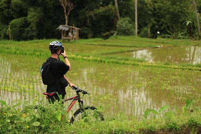 Downhill Jungle and Rice Terrace Cycling Tour - Key Points