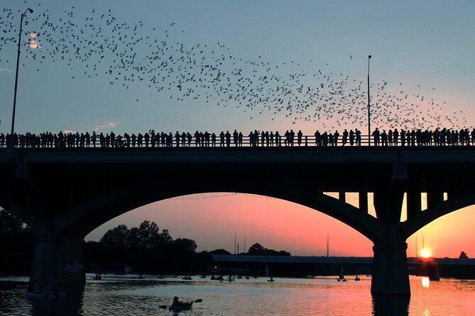 Downtown Austin Giant Paddleboard Sunset Tour with Bats - Key Points