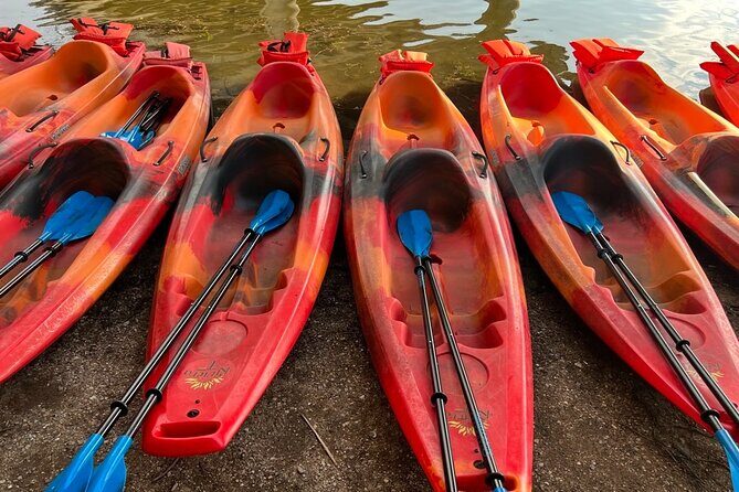 Downtown Austin Sunset Kayak Tour with 1.5 Million Bats - Authentic Feedback: What Travelers Say