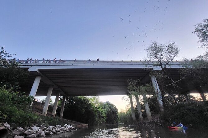 Downtown Houston Bat and Skyline Kayaking Tour - What Is the Downtown Houston Bat and Skyline Kayaking Tour?