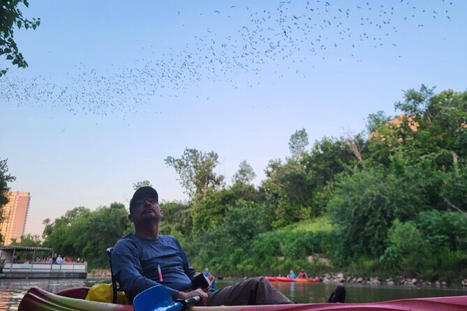 Downtown Houston Bat and Skyline Kayaking Tour - The Itinerary: What Can You Expect?