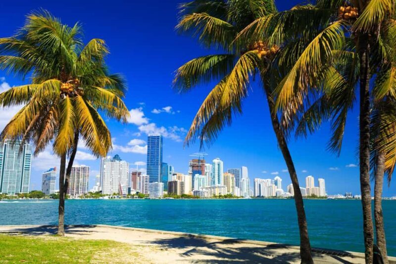 Downtown Miami Tour with Millionaires Row Cruise Tickets - The Sum Up: A Worthwhile Blend of Land and Sea