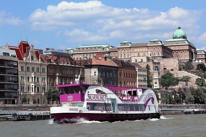 Downtown Sightseeing Cruise - Who Should Consider This Tour