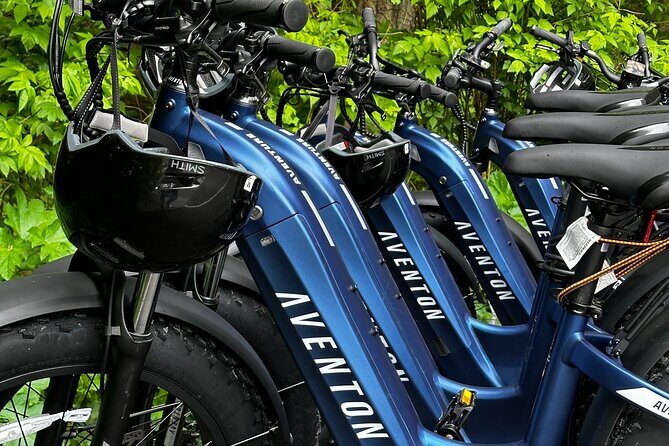 Downtown Sitka E-Bike Rentals - An In-Depth Look at the Experience