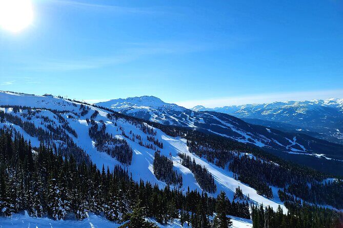 Downtown Vancouver to Whistler Private Transfer - Authentic Traveler Insights from Reviews