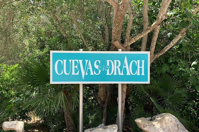 Drach Caves and Pearl Shop Mallorca Half Day Tour - Transport and Logistics: Comfort and Constraints