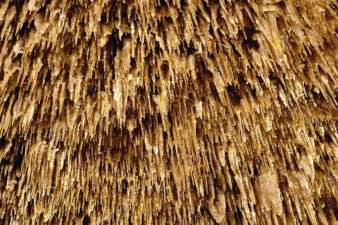 Drach Caves and Pearl Shop Mallorca Half Day Tour - The Value for Money