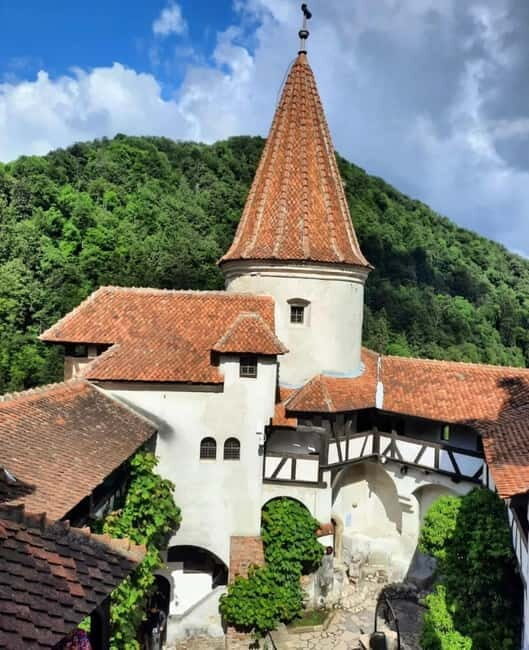 Draculas Delight Day Trip - An Inside Look at the Transylvania Day Trip