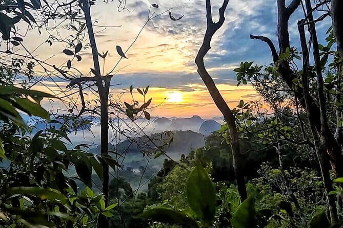 Dragon Crest Sunrise Hike and Klong Root Kayaking Private Tour - Why This Tour Stands Out