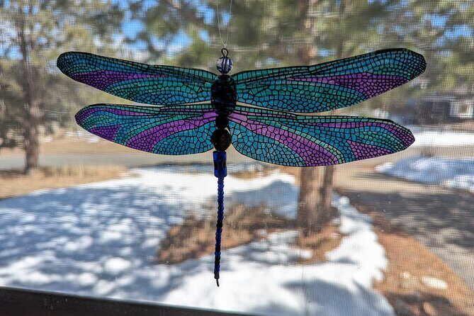 Dragonfly Suncatcher Art Kit in Estes Park - A Creative Activity in Estes Park: The Dragonfly Suncatcher Art Kit