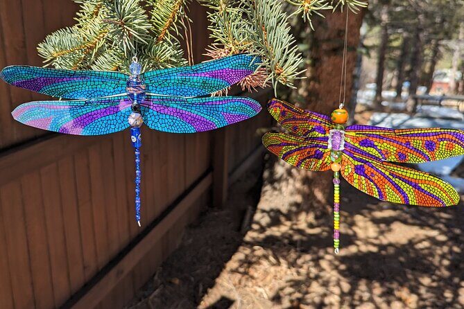 Dragonfly Suncatcher Art Kit in Estes Park - Key Points