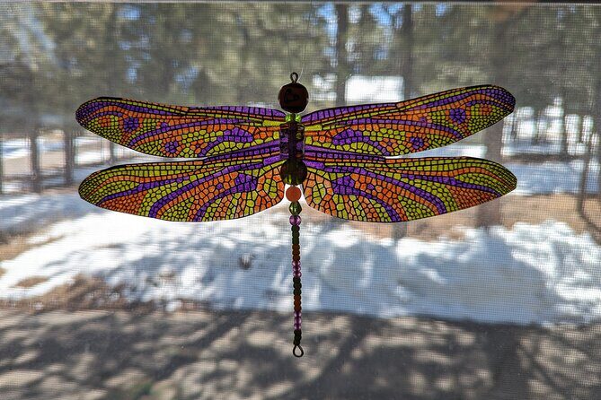 Dragonfly Suncatcher Art Kit in Estes Park - The Experience in Practice