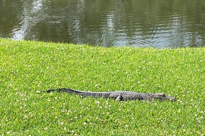 Drayton Hall Plantation Tour - A Deep Dive into the Tour Experience