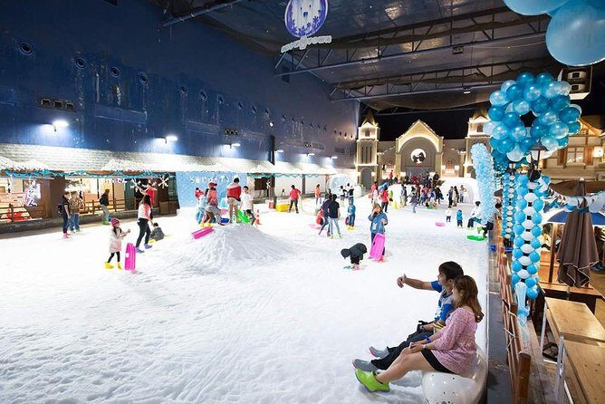 Dream World & Snow Town Theme Park Ticket - Hotel Pickup & Lunch - Who Should Consider This Tour?