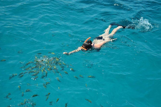 Dreamer Catamaran Montego Bay Cruise to Negril from Falmouth - What Travelers Can Expect