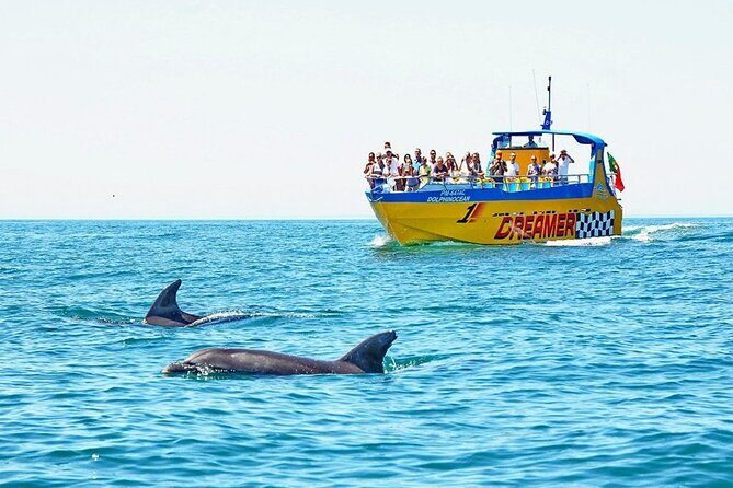 Dreamer Cave and Dolphins Boat Tour Ticket Albufeira - Exploring the Tour Itinerary: What to Expect