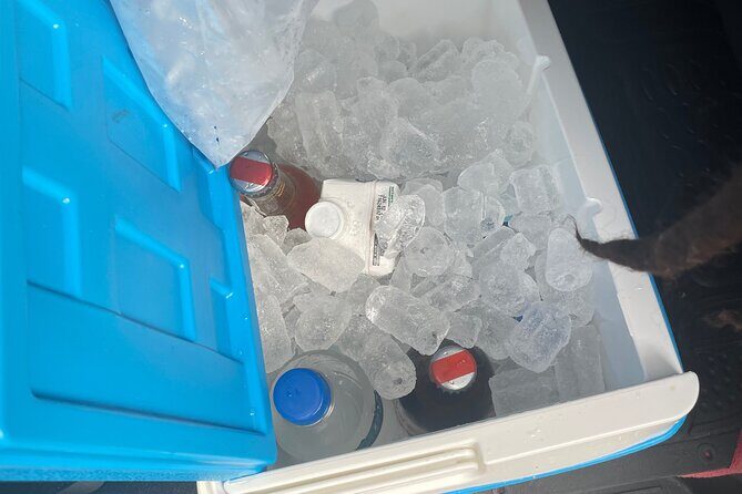 Dreams Rose Hall Resort and Spa Private Airport Transfer - A Closer Look at the Transfers