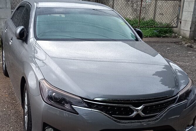 Dreams Rose Hall Resort & Spa Private Airport Transfer - The Itinerary and What to Expect