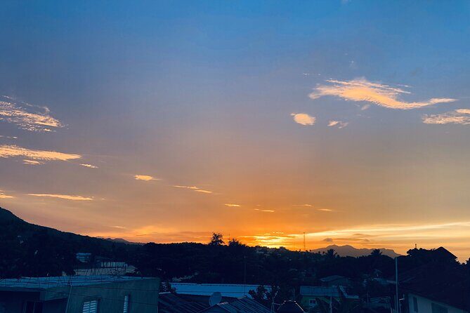 Dreams Royal Beach - Round Trip Shuttle - Punta Cana Airport - Practical Tips for Making the Most of Your Transfer