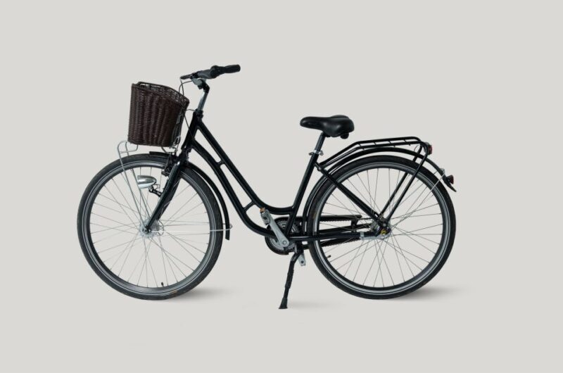 Dresden: Bike Rental - City Bike with Option Children Seat - Who Will Love This Experience?
