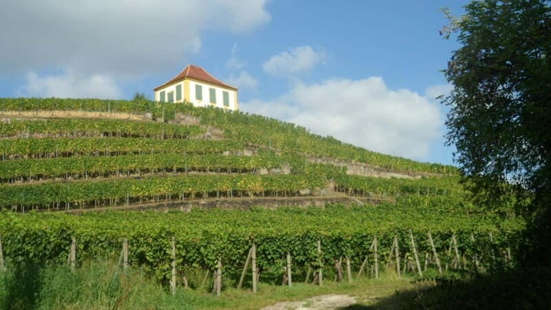 Dresden: Boat Cruise with Wine Tasting and Snacks - Final Thoughts