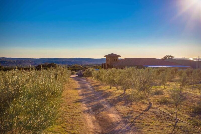 Dripping Springs: Olive Oil and Balsamic Vinegar Tasting - Practical Info and Tips