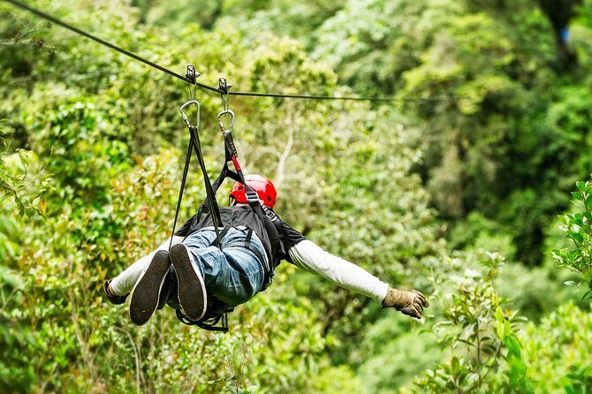 Drive An Atv, Live The Experience Of Ziplining And Swim On A Real Cenote - Final Thoughts: Who Will Love This Tour?
