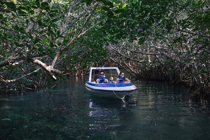 Drive Best Speedboat in Laguna Nichupte Cancún Jungle Tour - Who Will Love This Tour?