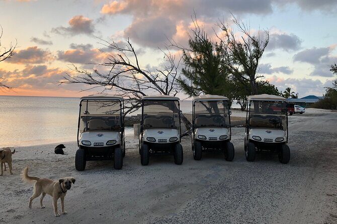 Drive GDT - Golf Cart Rentals - FAQ