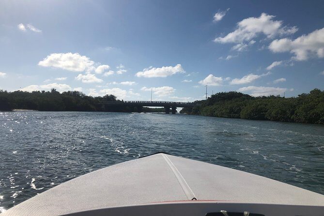 Drive the best speedboat in Cancun and feel the adrenaline. - Authentic Experiences and Feedback