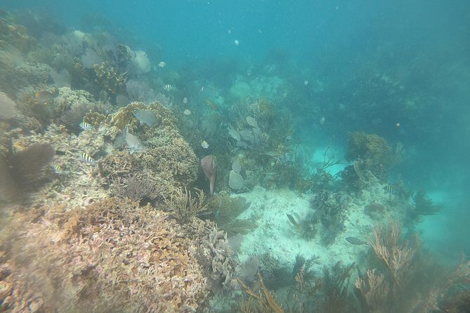 Drive the best speedboat in Cancun and feel the adrenaline. - FAQ