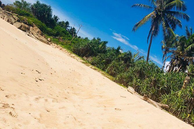Driver In Srilanka. - Exploring the Itinerary and What Youll See