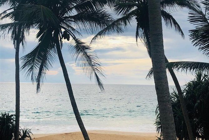 Driver In Srilanka. - Who Should Consider This Tour