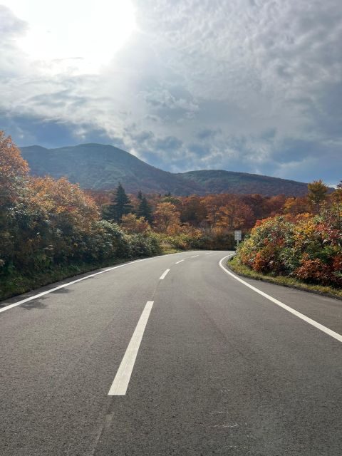Driving Support in Akita - Benefits of this Support-Driven Approach