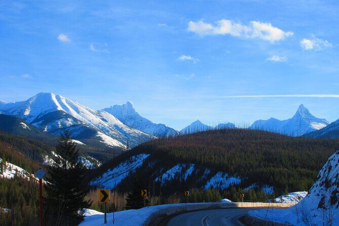 Driving Tour in Glacier National Park - A Close Look at What This Tour Offers