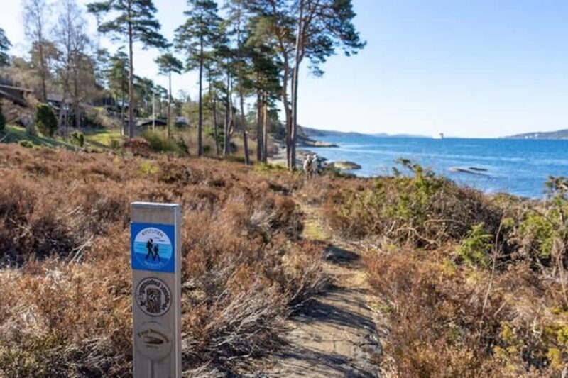 Drøbak: Coastal Walk with Coffee, Buns, and Hammocks - An In-Depth Look at the Coastal Experience