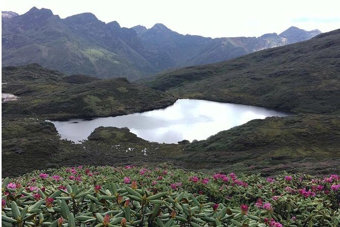Druk Path Trek in Pristine Bhutan - Why This Tour Delivers Value